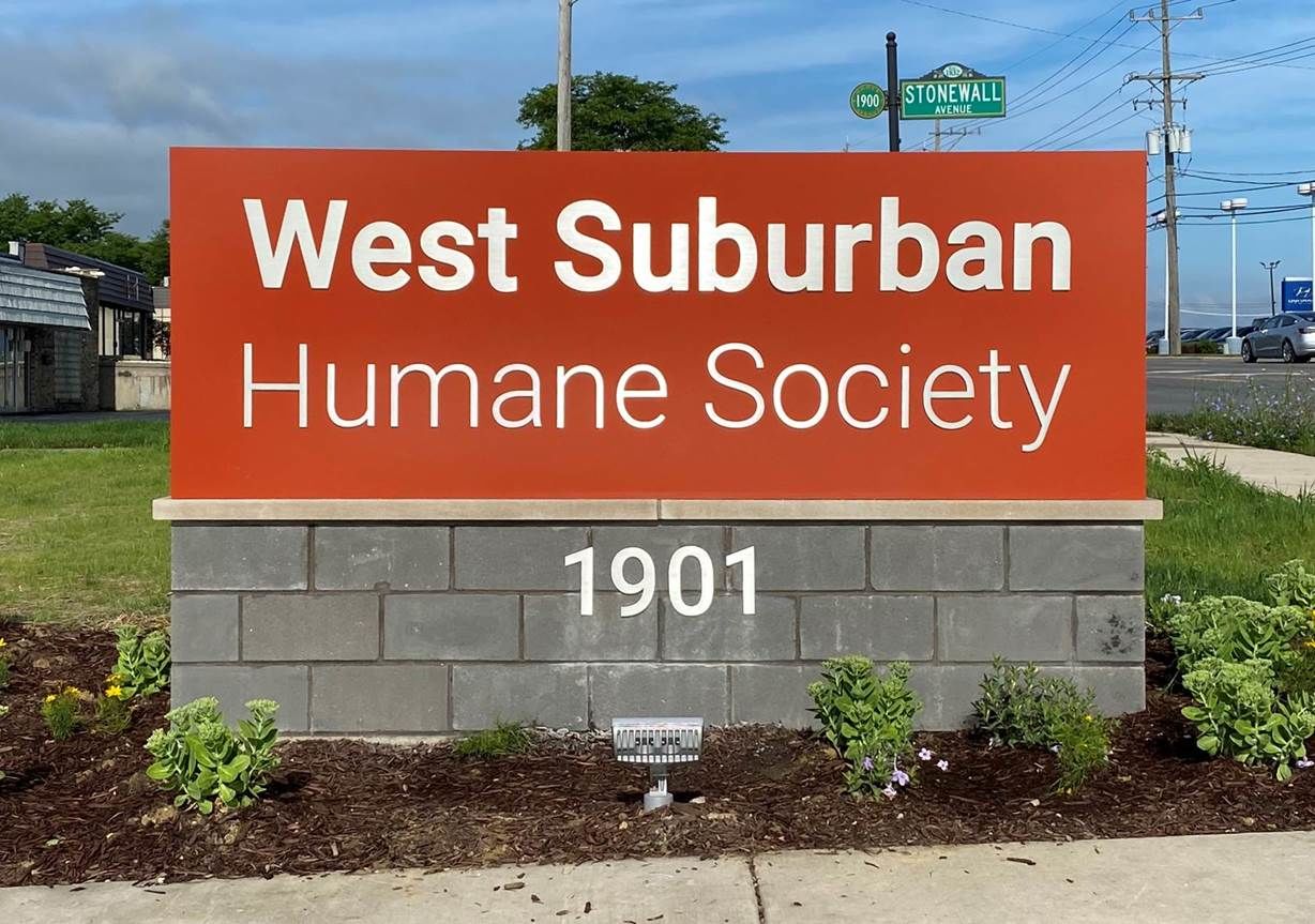 Monument Signs in Downers Grove | Signs Now Downers Grove