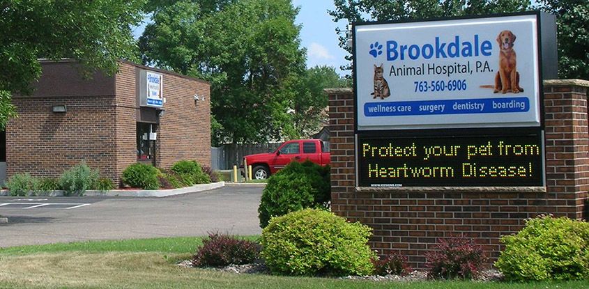 Digital Signs in Plymouth | Signs Now